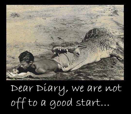 off to a great (?) start | Peggy Larkin